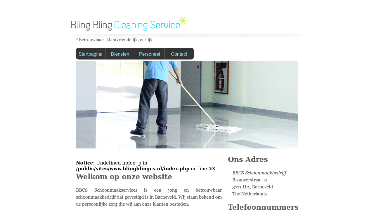 Bling-Bling Cleaning Service: klantervaringen & recensies